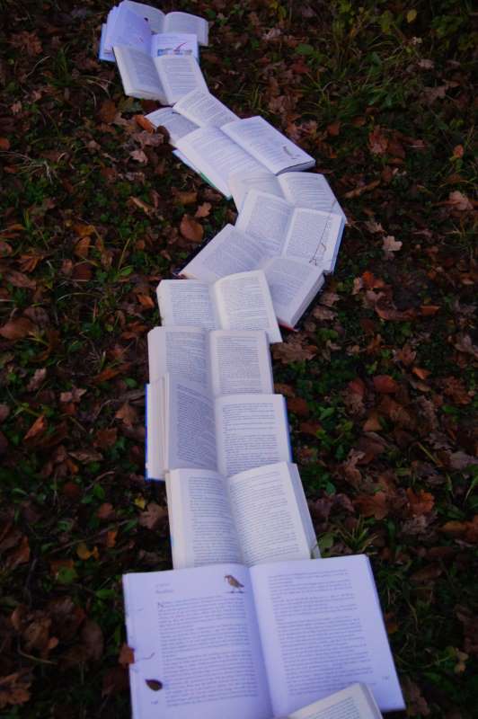 Hoarding Books Versus ‘Living’ their Wisdom - The Acropolitan Magazine